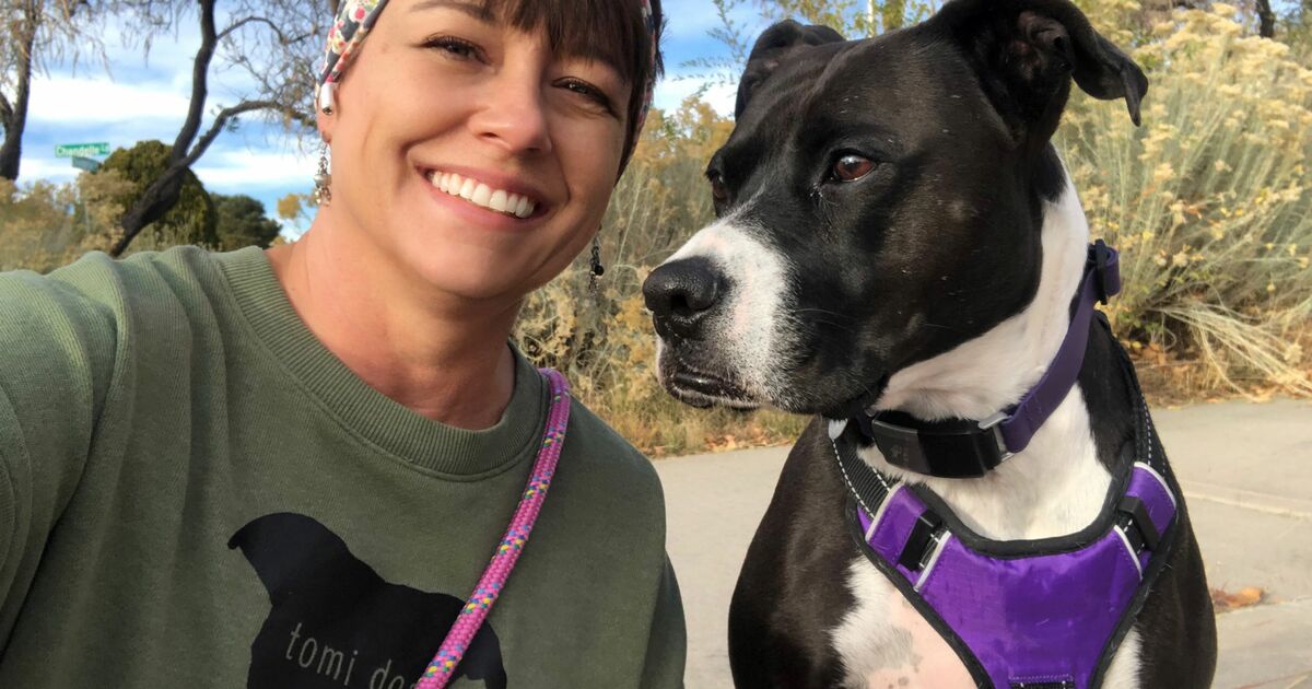 Dog Training Services